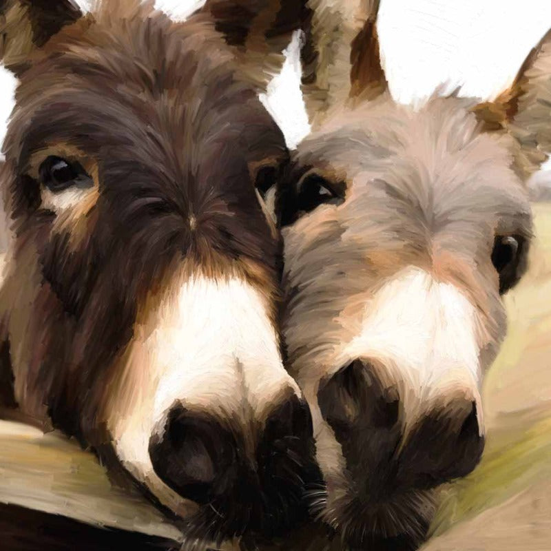 Two Donkeys