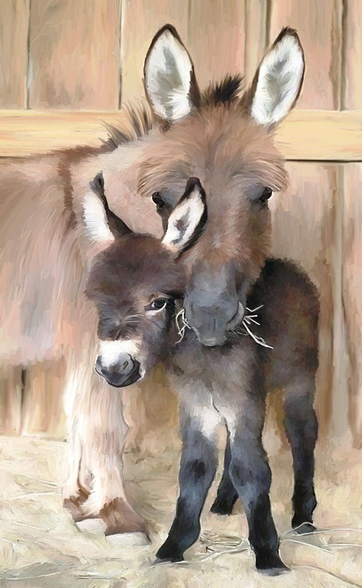 Donkey and baby