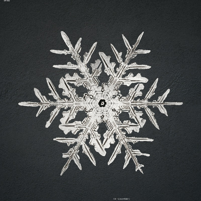 Snowflake-C