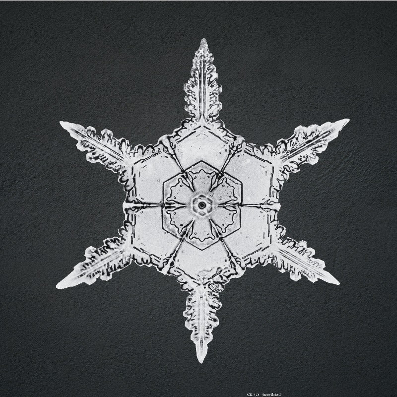 Snowflake-F