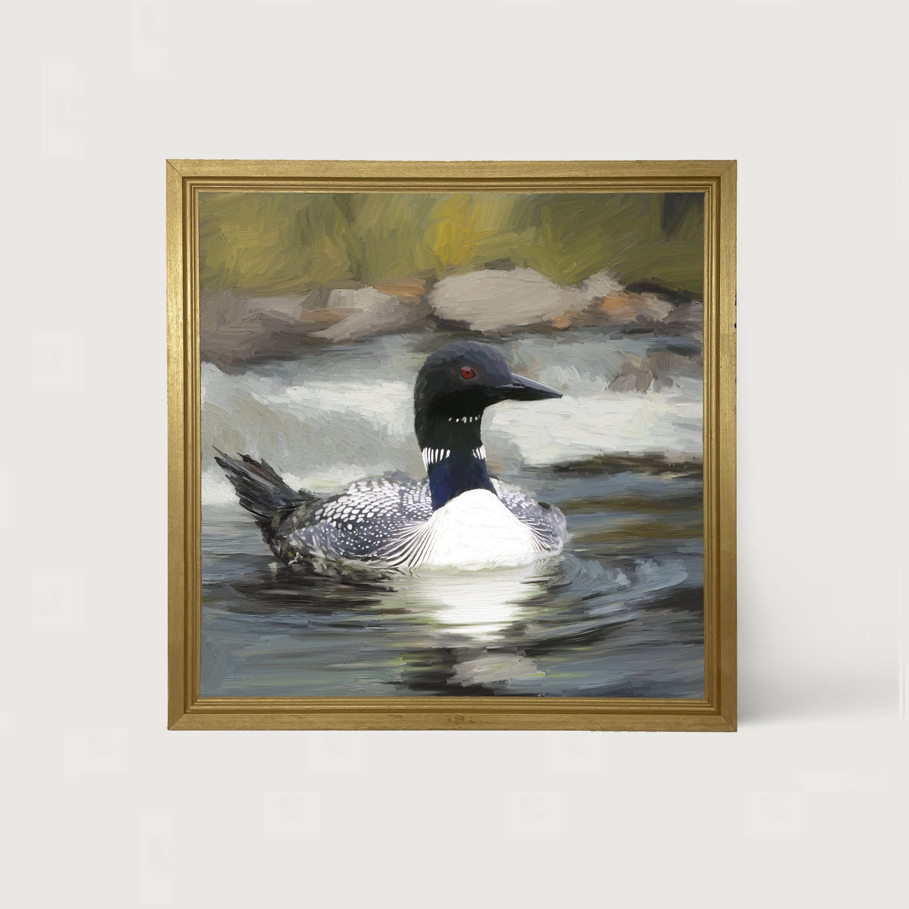 Loon in the Water - Framed art