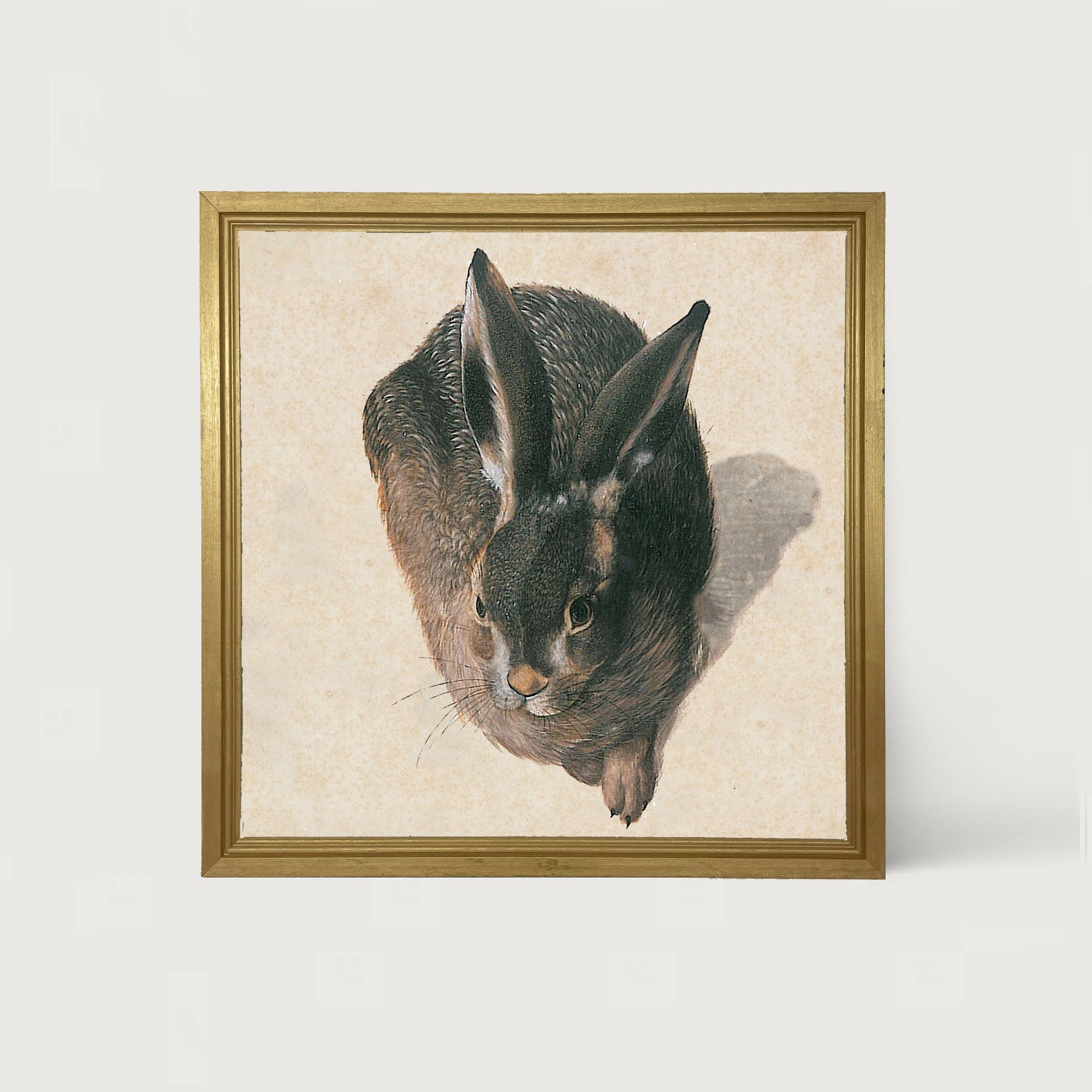 Vintage Hare - Framed Art