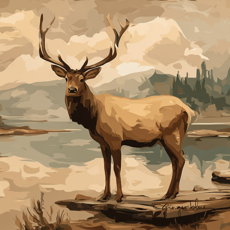 Adirondack Elk