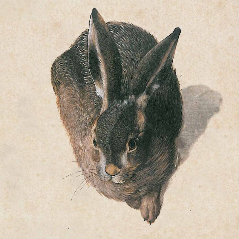 Vintage Hare