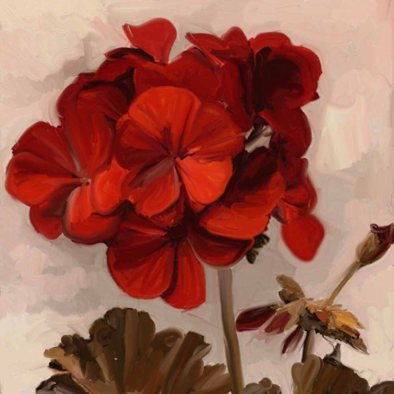 Red Geranium